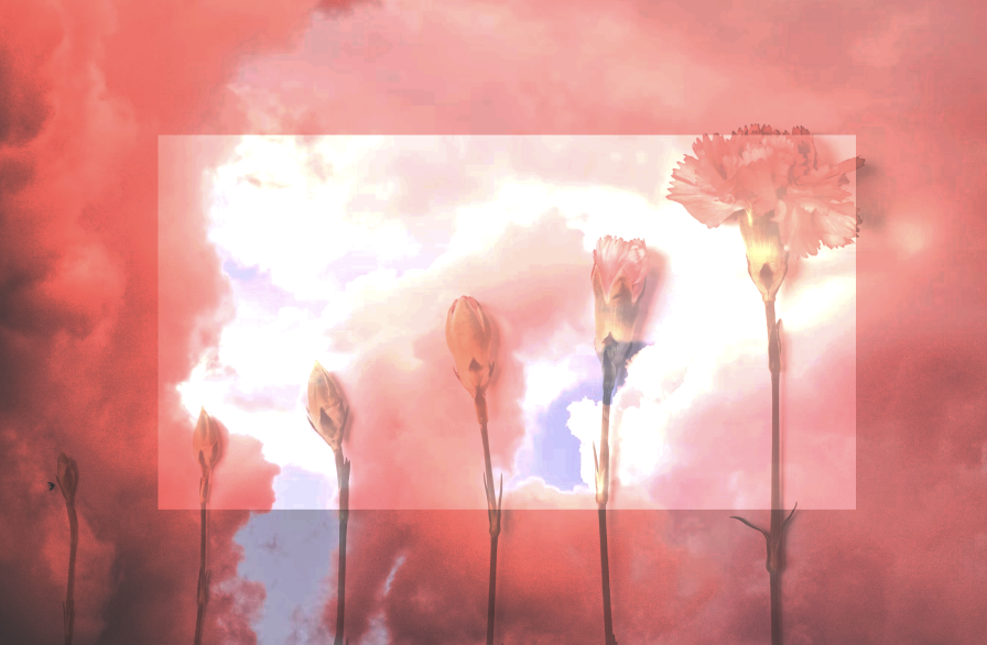 Data Expectation Mapping - A Workshop Exercise